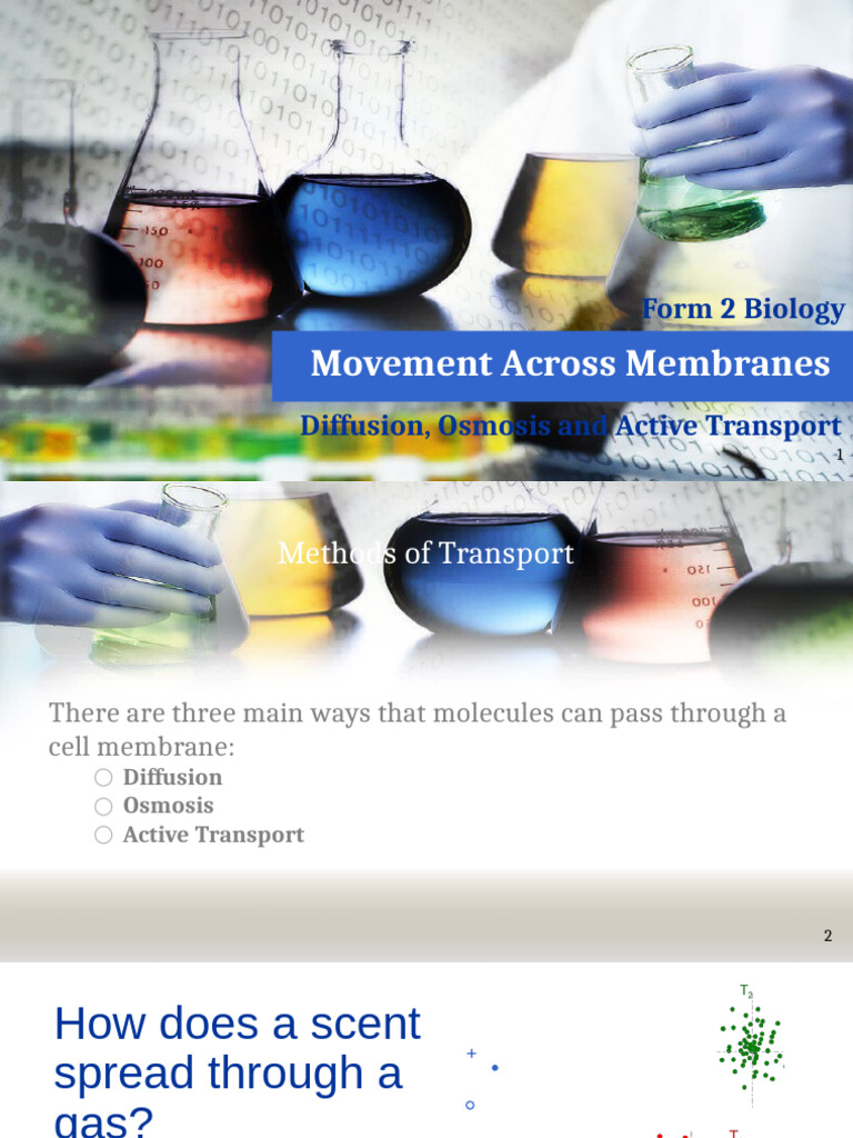 Membrane Transport: Diffusion, Osmosis, Active Transport | PDF ...