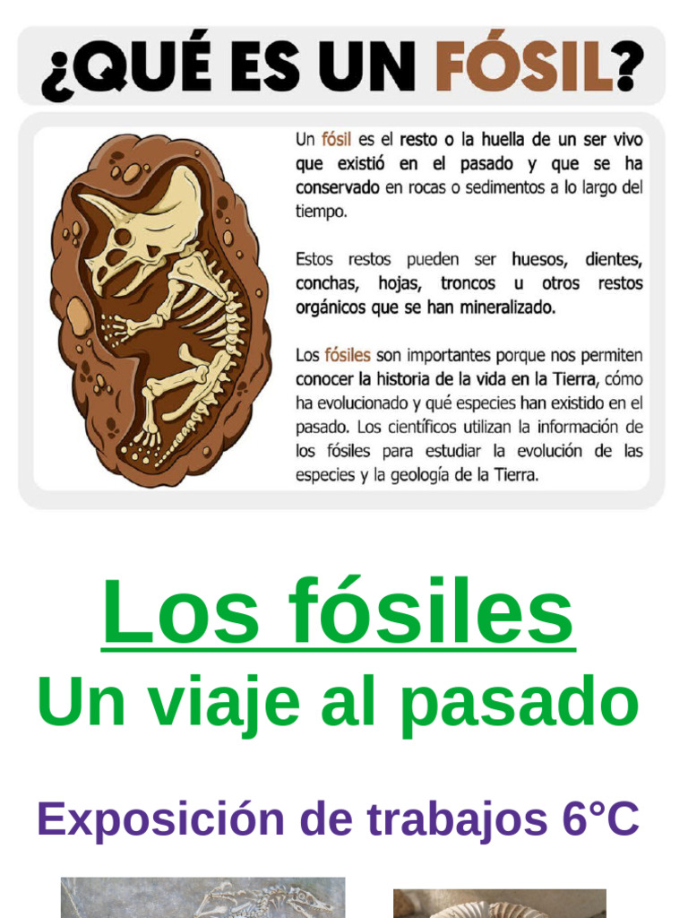 Los Fosiles | PDF