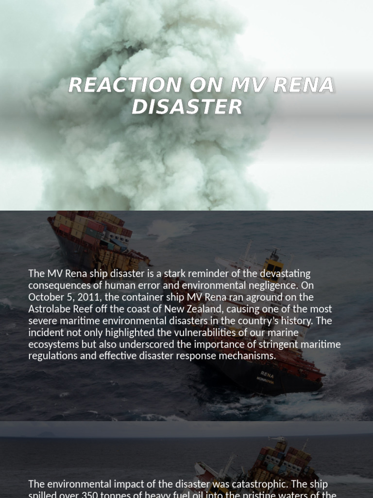 Reaction On MV Rena Disaster | PDF | Coast | Environmental Issues