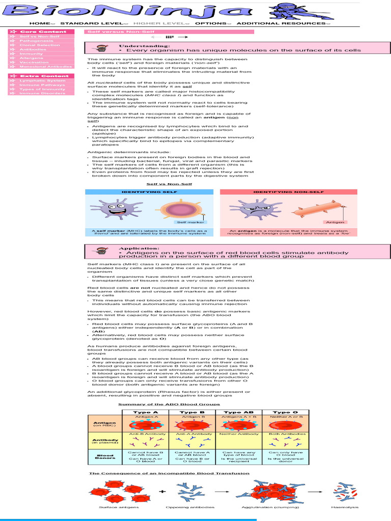 Self Versus Non-Self BioNinja | PDF | Blood Type | Antigen