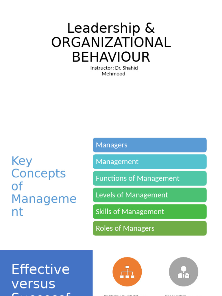 Leadership and ORGANIZATIONAL BEHAVIOUR - Class | PDF | Organizational ...