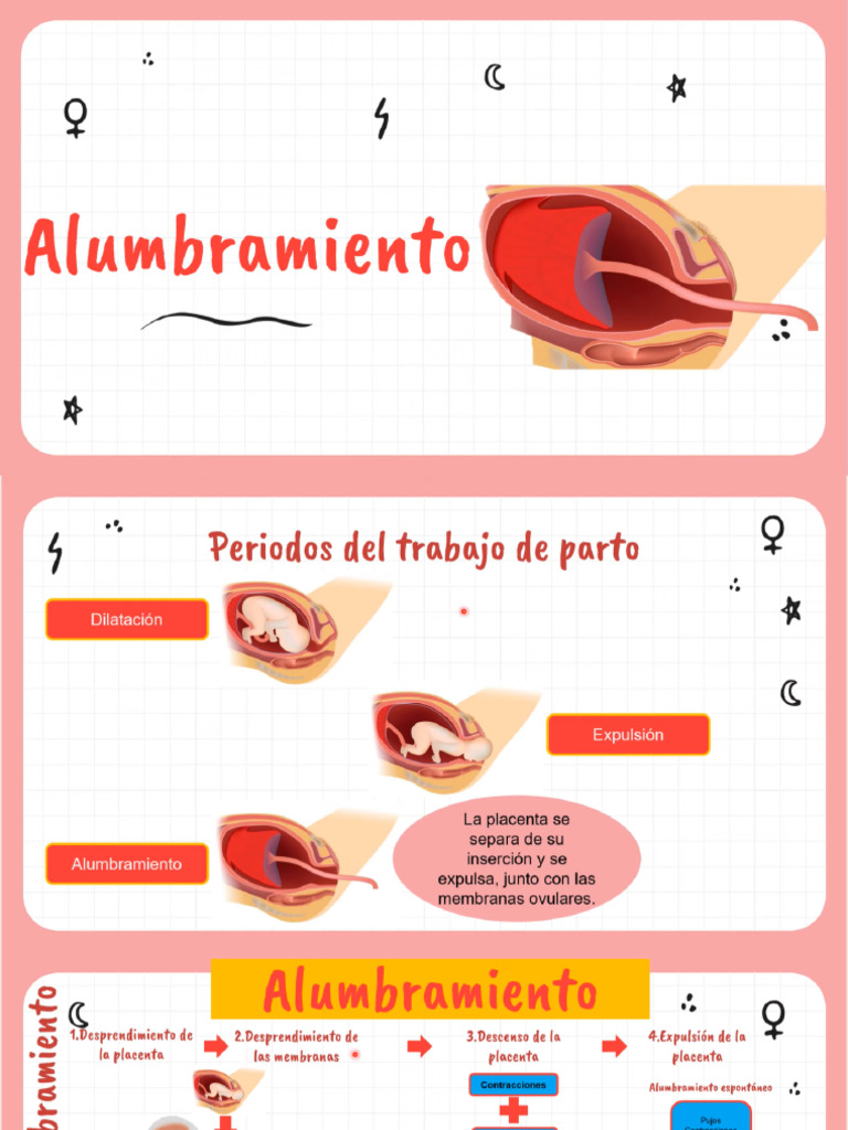 Alumbramiento Normal y Patológico Zaidmebarak | PDF | Parto | Placenta