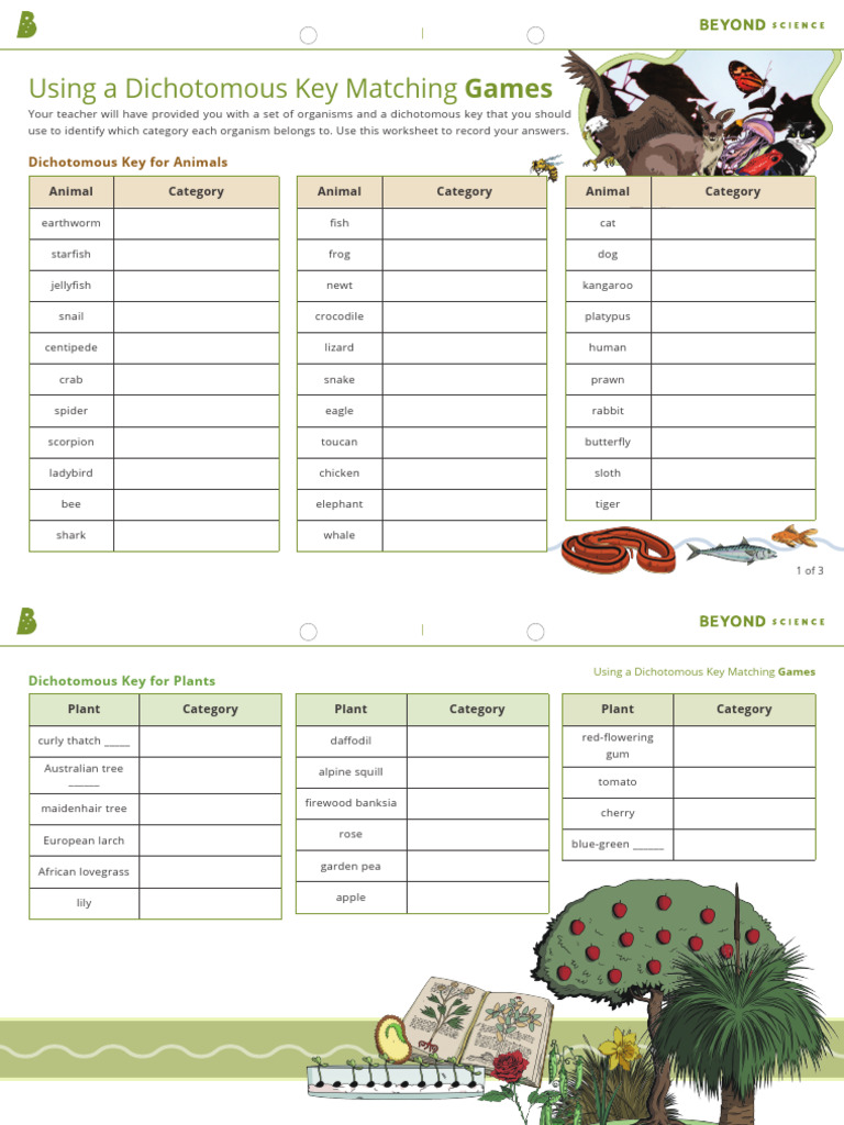 Using A Dichotomous Key Matching Games - Worksheet | PDF | Fruit | Plants