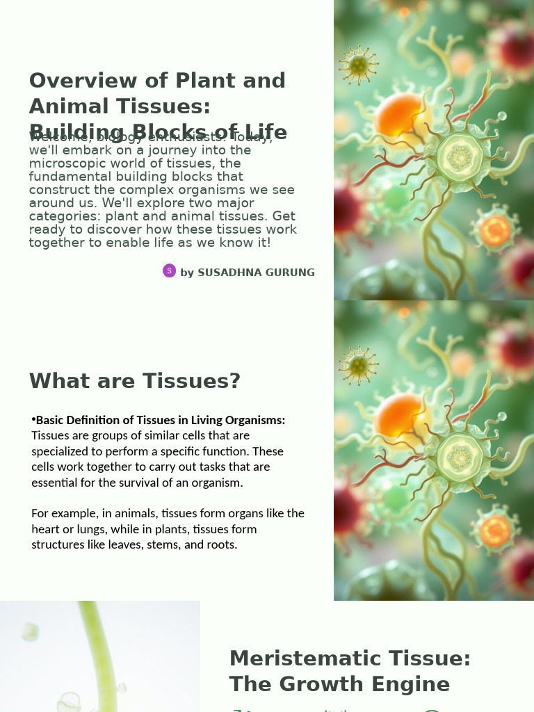 Plant-and-Animal-Tissues-Building-Blocks-of-Life | PDF | Tissue ...