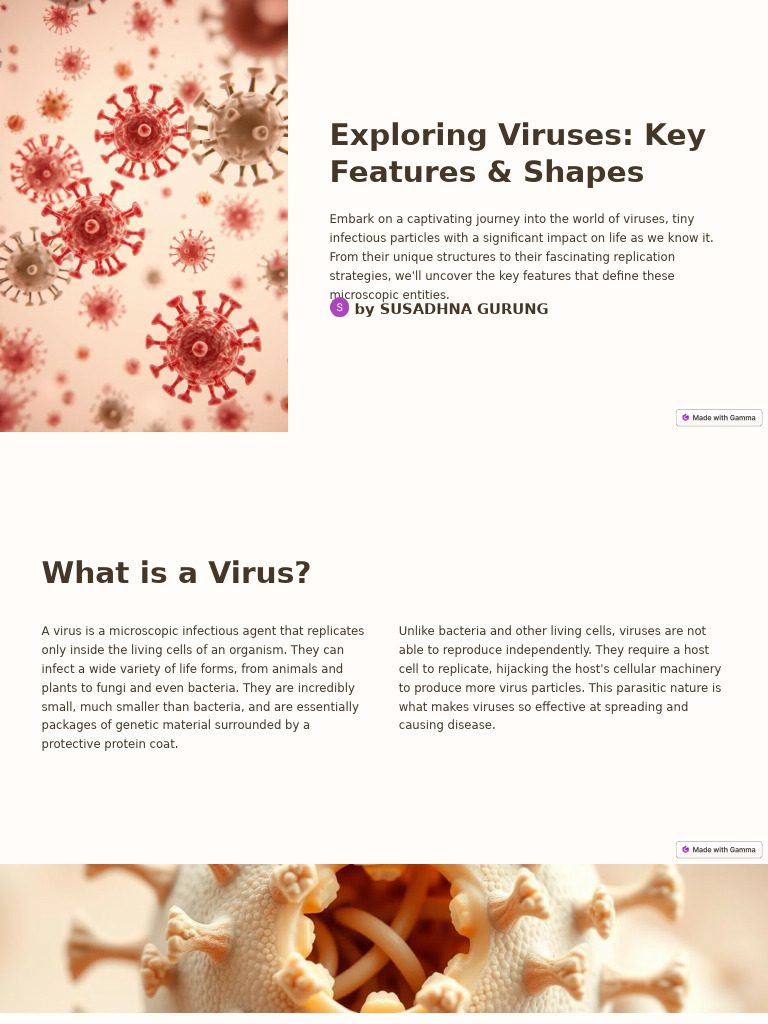 Exploring-Viruses-Key-Features-and-Shapes | PDF | Virus | Microorganism