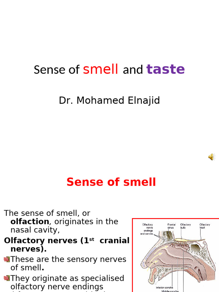 Olfactory and Gustatory Mechanisms | PDF | Taste | Senses