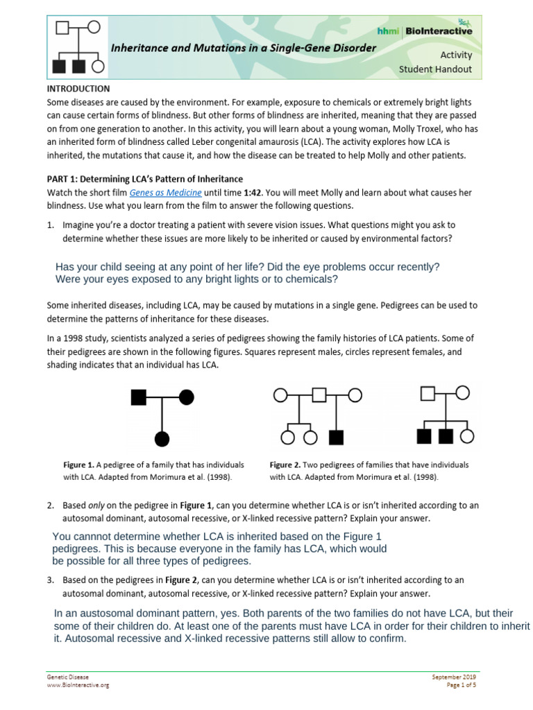 SingleGeneDisorder StudentHO Act | PDF | Genotype | Zygosity