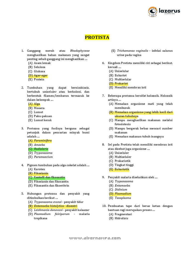 Soal Bab 3. Protista Coretan | PDF
