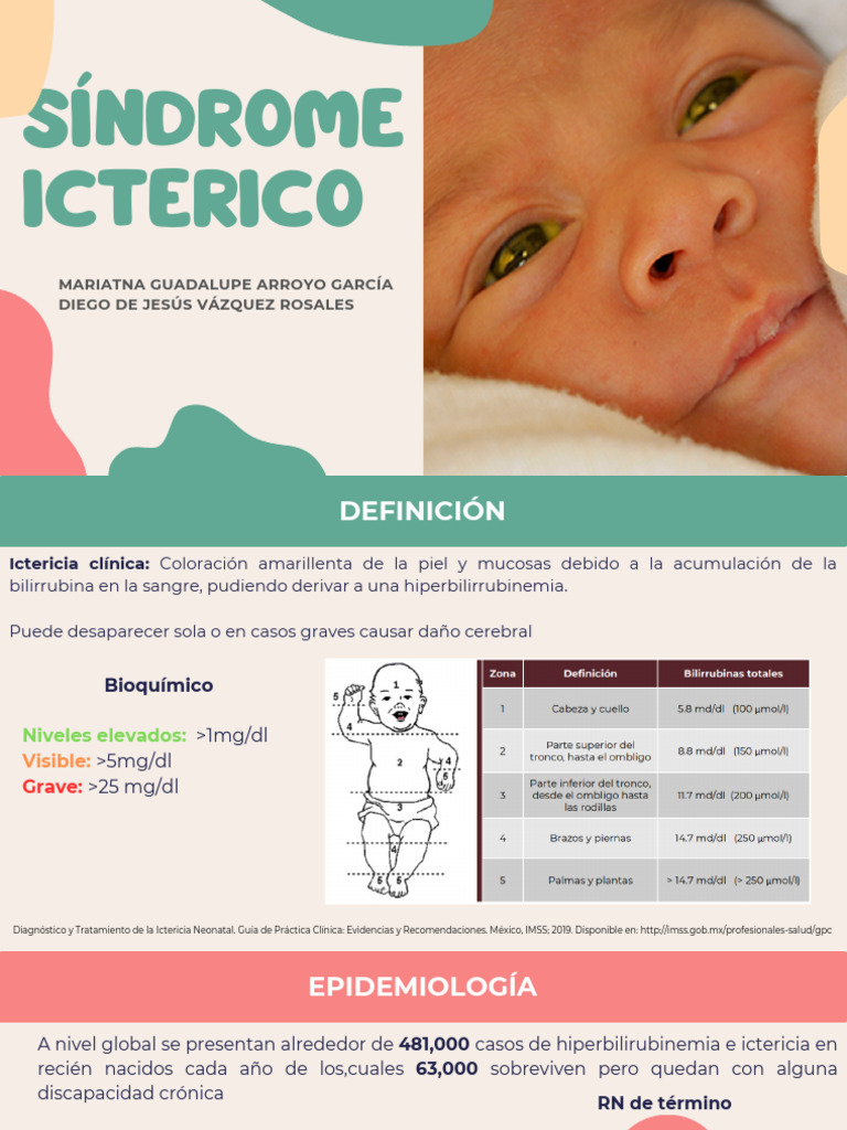 Ictericia Neonatal - PDF 2 | PDF | Especialidades Medicas | Pediatría