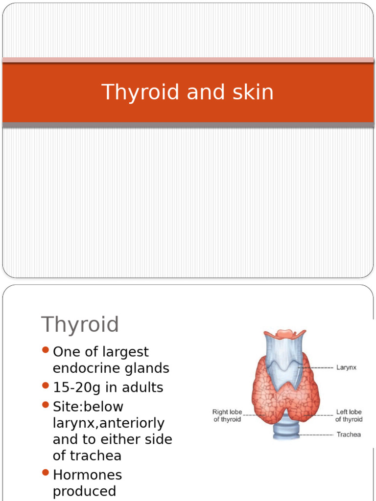 Thyroid and Skin | PDF | Thyroid | Hyperthyroidism
