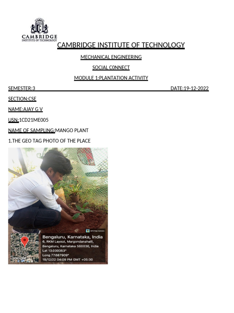 Mango Plant Report and Care Guide | PDF