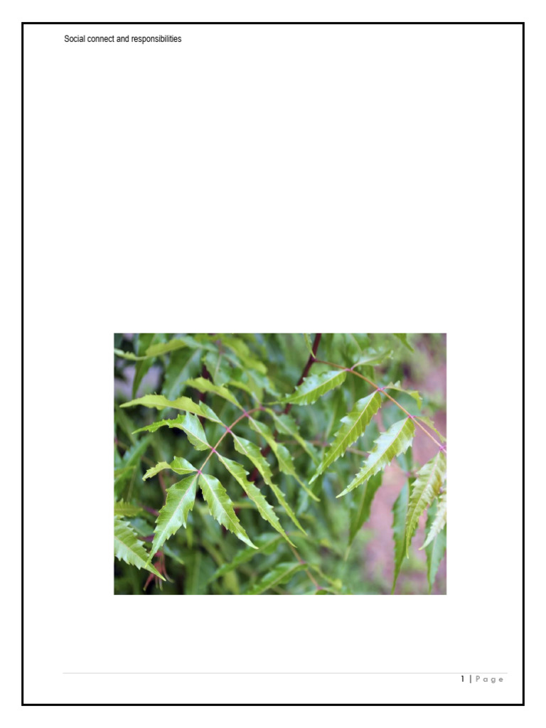 SCR Report | PDF | Groundwater | Water Conservation