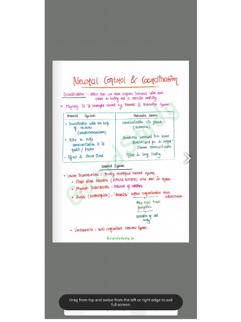 Vicky 32 Neural and Coordination | PDF