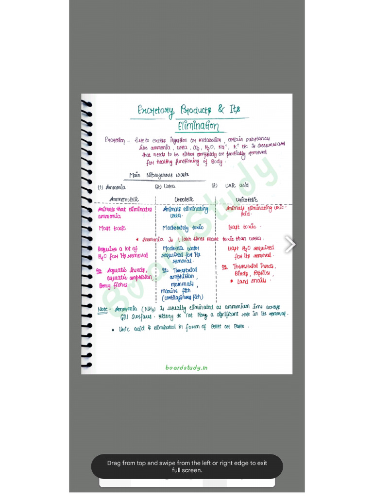 Vicky 16 | PDF