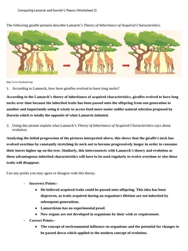 Activity 7a Lamarck vs Darwin | PDF | Evolution | Natural Selection