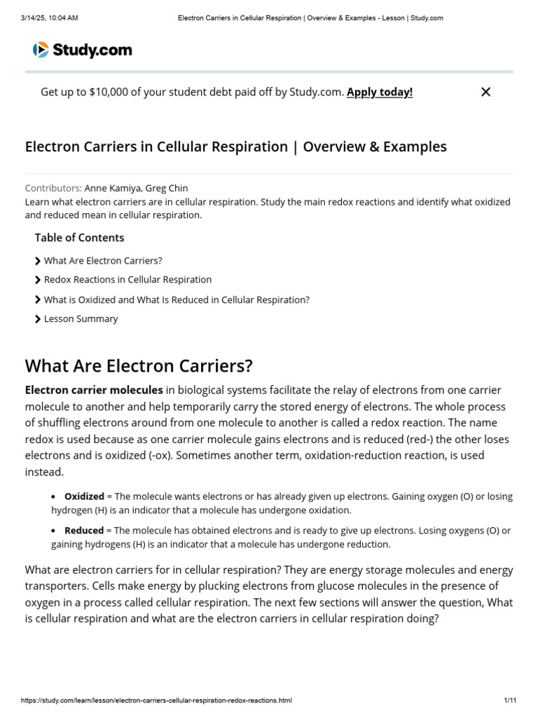 Electron Carriers in Cellular Respiration - Overview & Examples ...