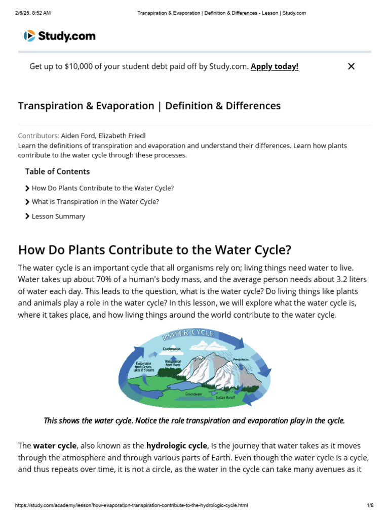 Transpiration & Evaporation - Definition & Differences - Lesson | PDF ...