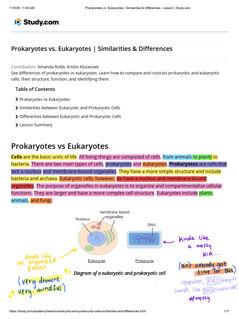 1.Prokaryotes_vs._Eukaryotes___Similarities___Differences_-_Lesson ...