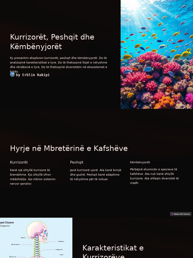 Kurrizoret Peshqit Dhe Kembenyjoret | PDF