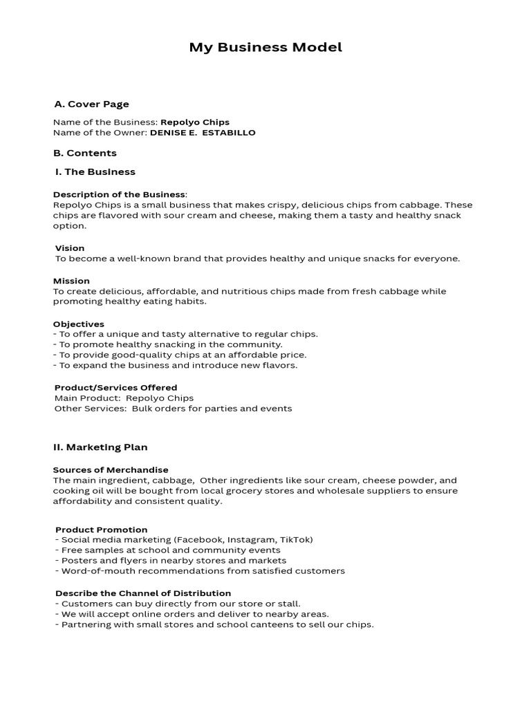 Business Model | PDF