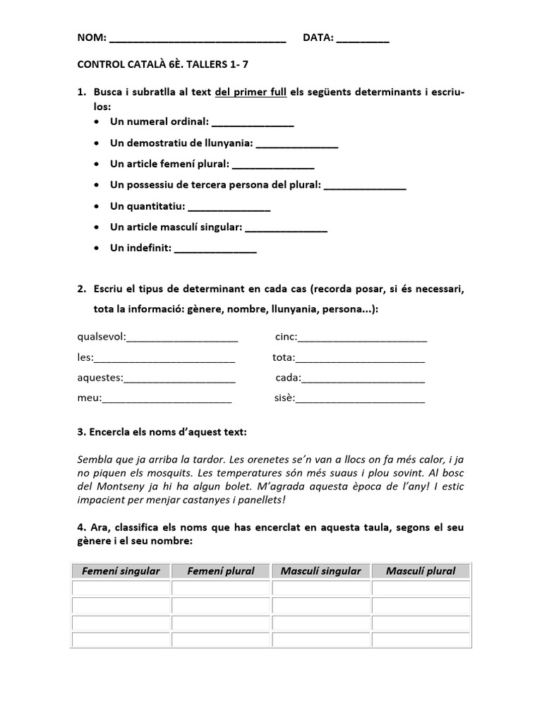 Examen Català Sisè | PDF