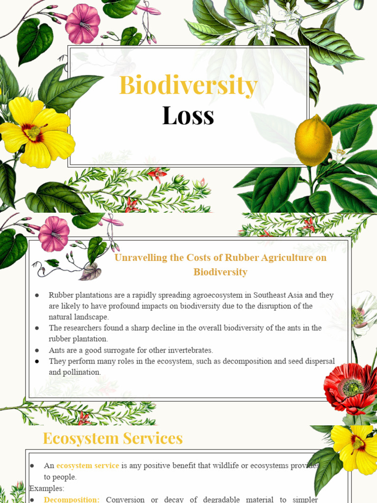 Biodiversity Loss Presentation | PDF | Endangered Species | Biodiversity