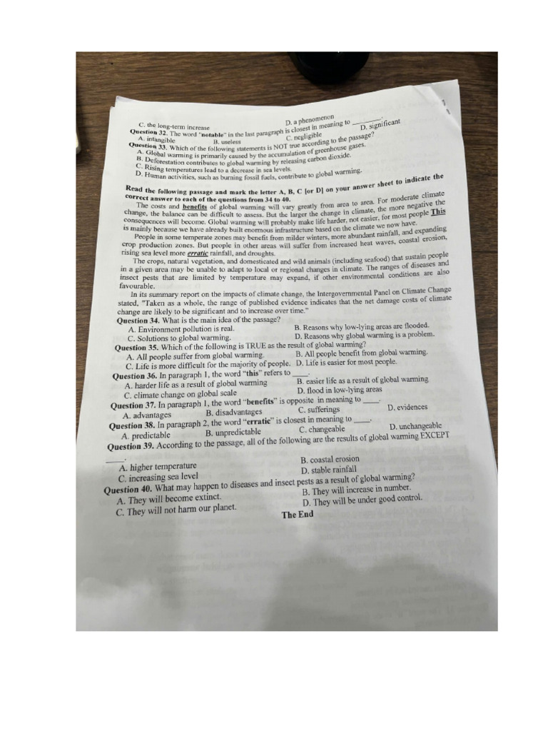 Sâu Unit 4 +5 | PDF