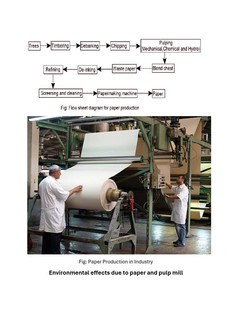 Fig Paper Production in Industry | PDF