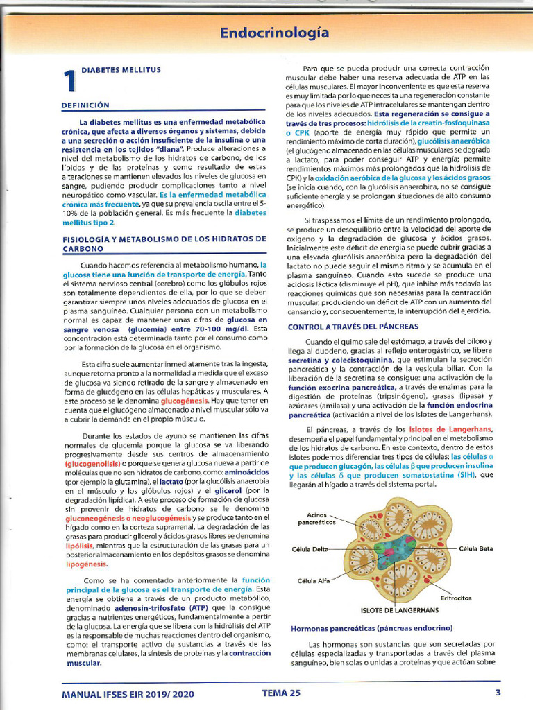 EIR Endocrino | PDF