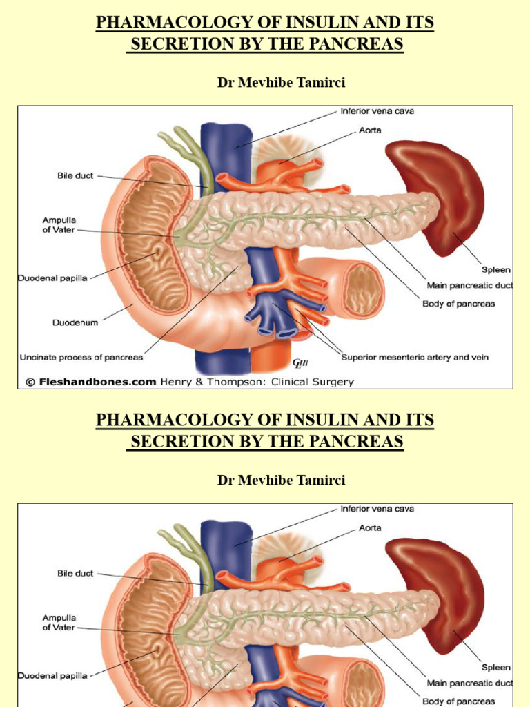 1 - Lecture - PHAR307 - PHAR433 Pharmacology III - Insulin | PDF | Pancreas | Insulin