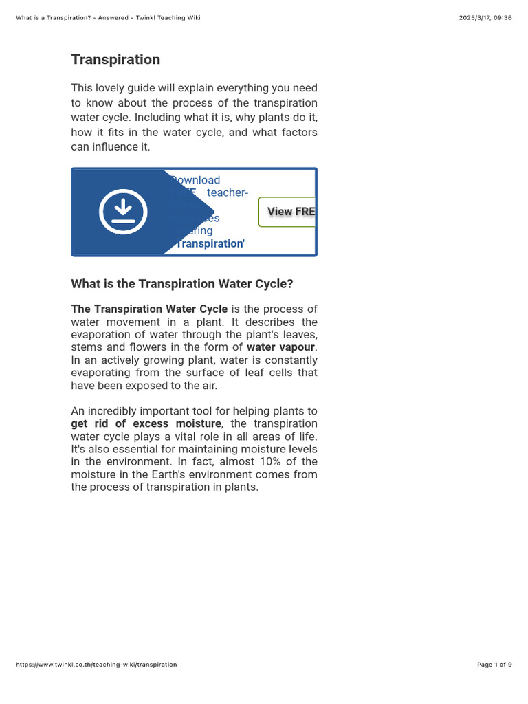 What Is A Transpiration? - Answered - Twinkl Teaching Wiki | PDF ...