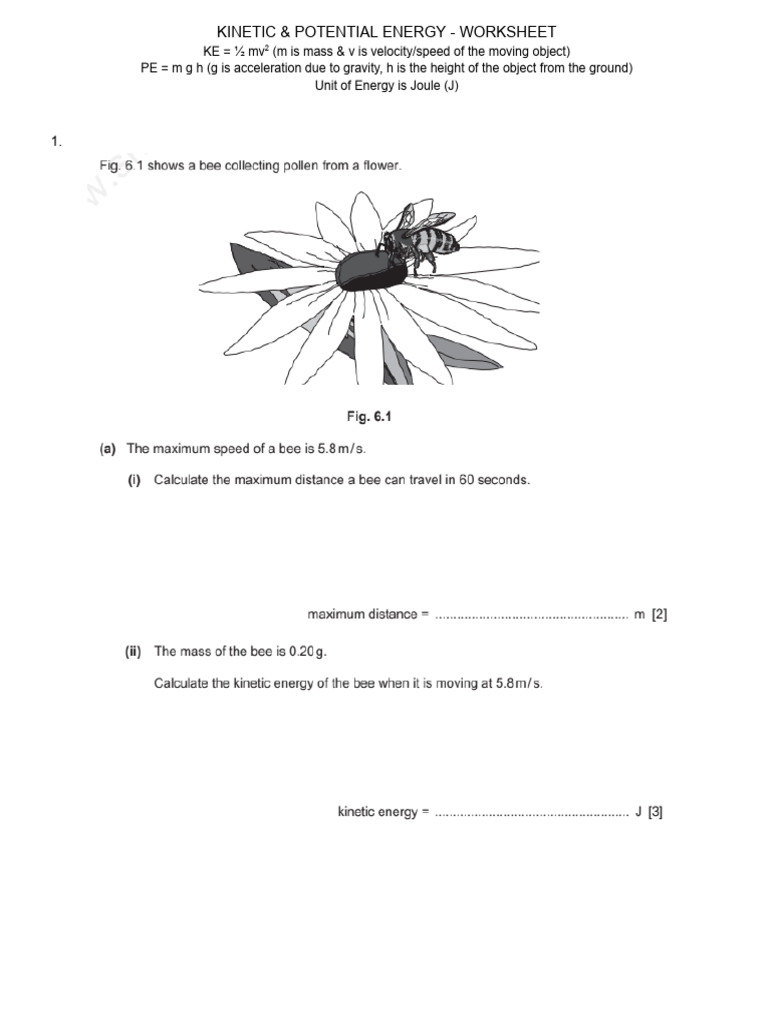 KE & PE Worksheet - CCS | PDF