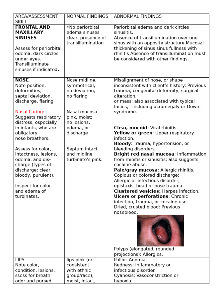 Frontal and Maxillary Sinus Assessment | PDF | Thorax | Human Nose