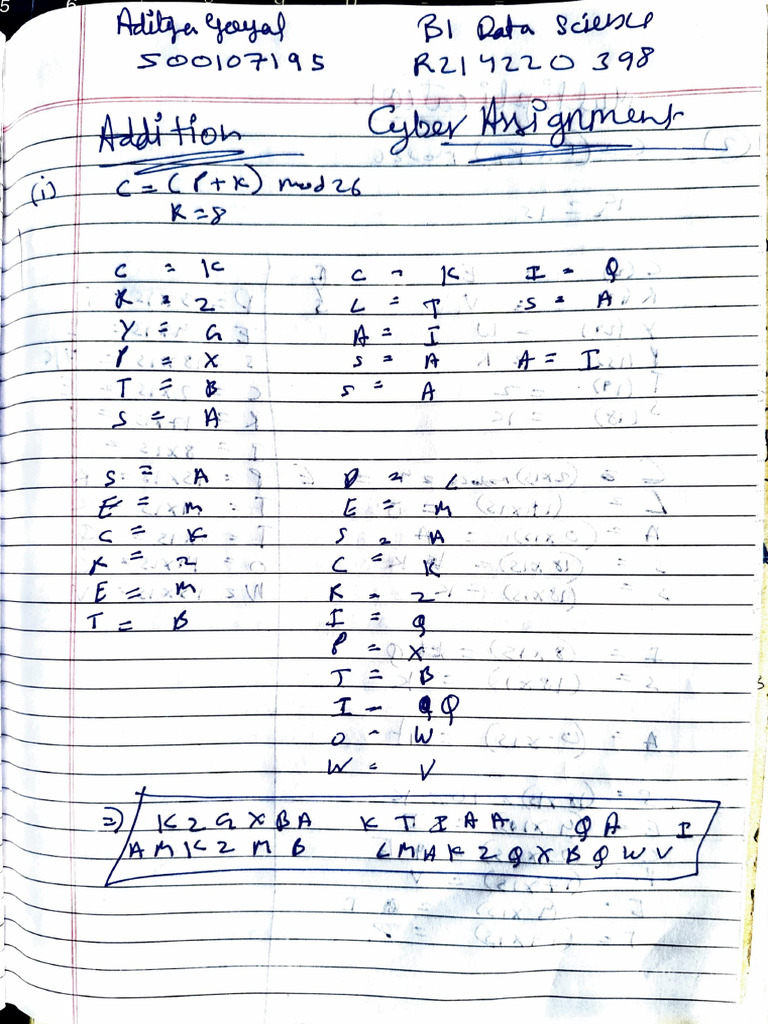Cyber Security Assignment | PDF