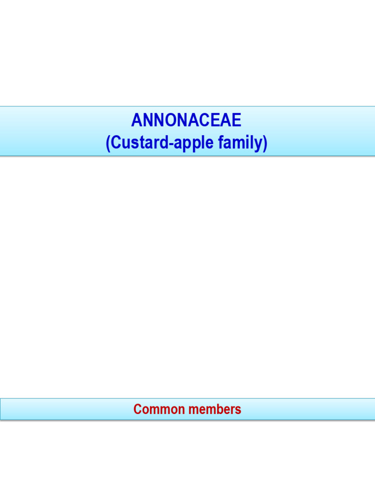 Annonaceae Family Overview and Species | PDF | Branches Of Botany | Plants