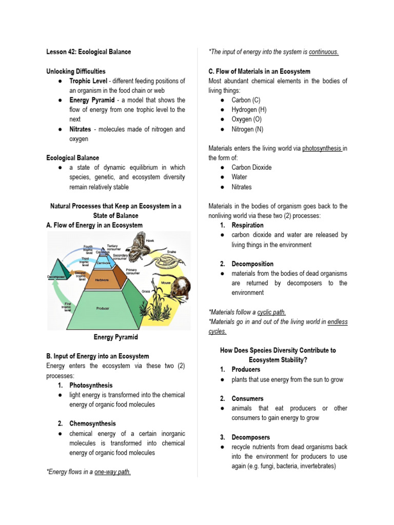 Ecological Balance in Ecosystems | PDF | Ecosystem | Ecology