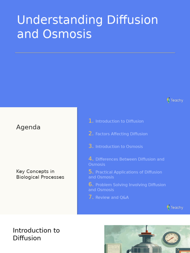 Slide - Understanding Diffusion and Osmosis | PDF | Osmosis | Diffusion