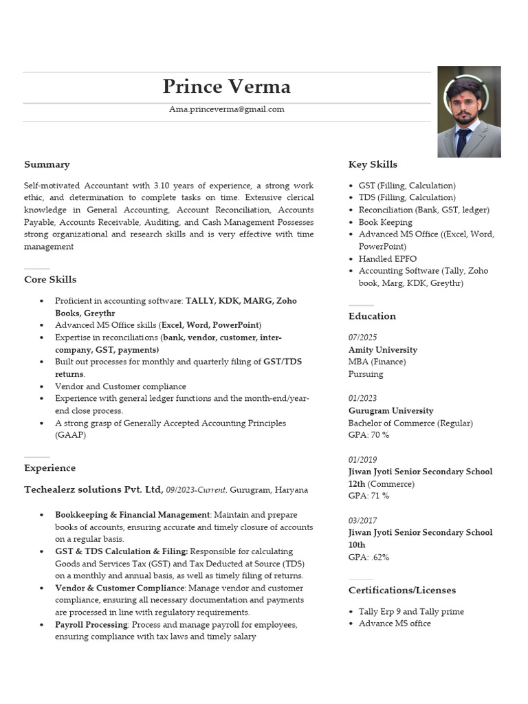 Accountant Profile: Skills & Experience | PDF | Accounting | Payroll