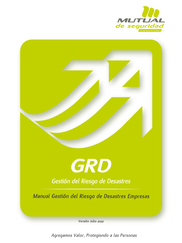 Originales MANUAL GRD | PDF