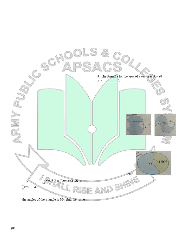 APS&C COD Math Worlsheet VIII | PDF | Area | Triangle
