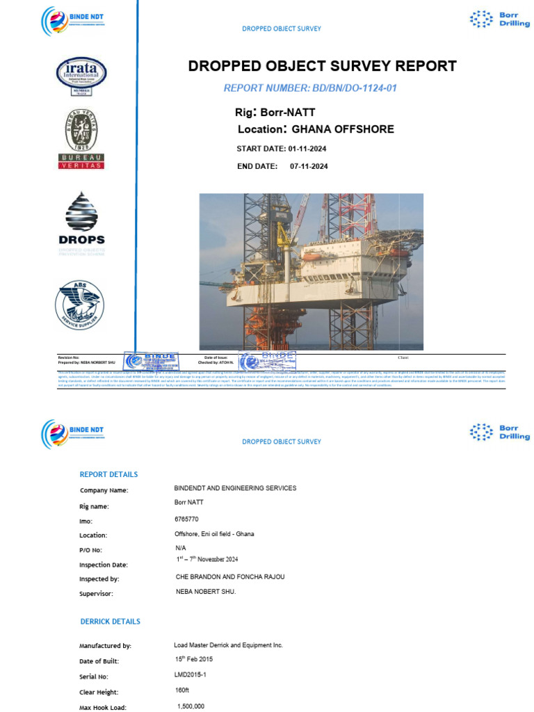 Dropped Object Jan 2025 Survey Report | PDF | Risk | Safety