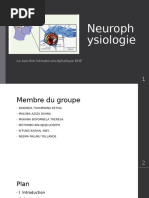 Anatomie du Corps Géniculé Latéral | PDF | Système visuel | Vision