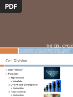 Mnemonics For Cycle Cell and Division | PDF