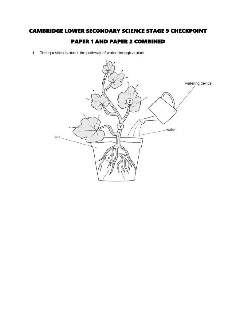 Cambridge Lower Secondary Science Stage 9 Checkpoint 2024 P1 and P2 | PDF