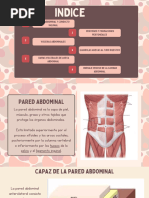 Visceras del Cuerpo Humano: Anatomía y Función | PDF | Sistema ...