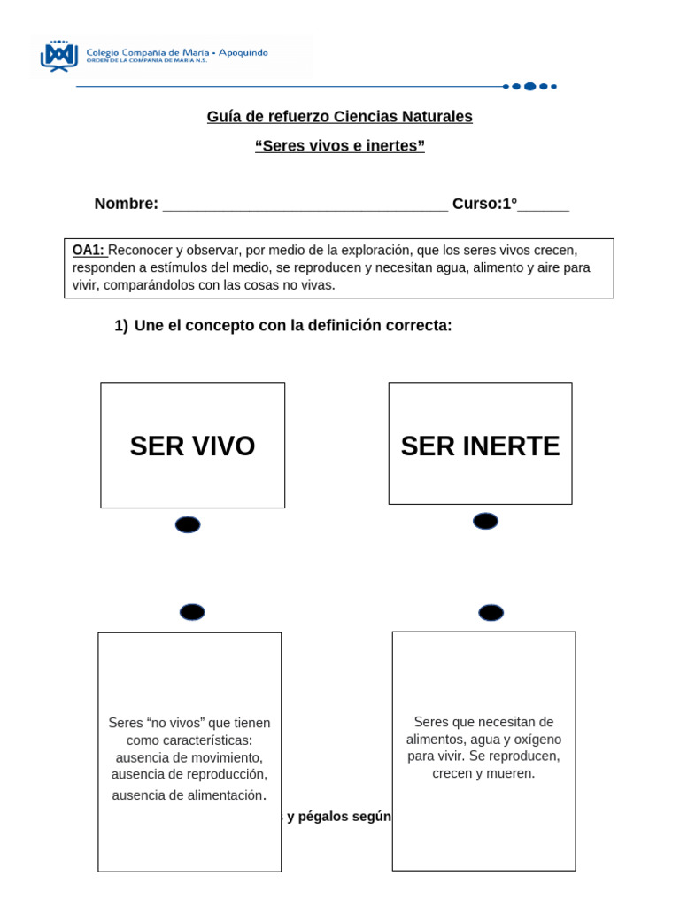 Ciencias Naturales - Guía Seres Vivos e Inertes OA1 | PDF