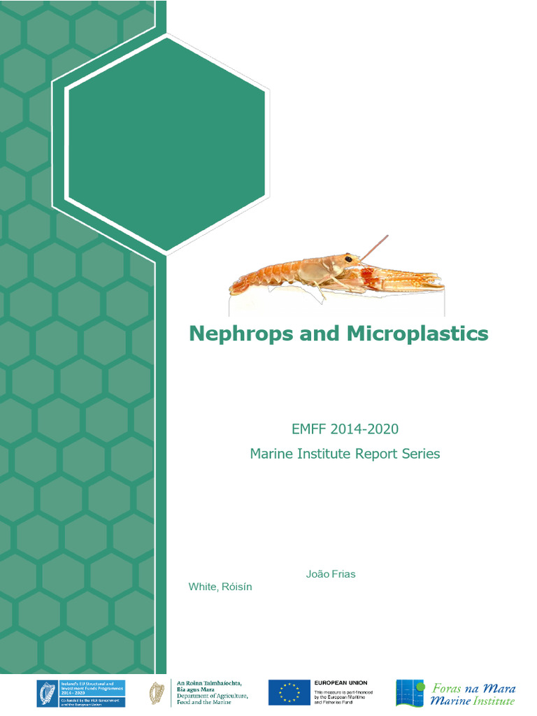 EMFF REPORT 2022 Nephrops and Microplastics | PDF | Plastic | Filtration