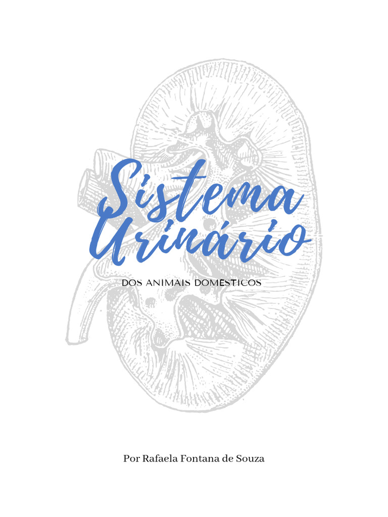 Funções do Aparelho Justaglomerular | PDF | Rim | Sistema urinário