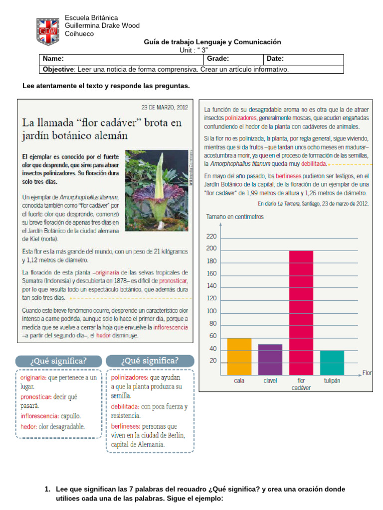 Guia Clase 1 Lenguaje (Semana Del 04 Al 08 de Septiembre) | PDF ...