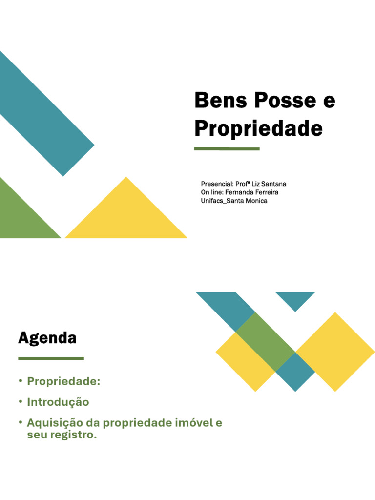 Propriedade e Direitos Reais no Direito Civil | PDF | Propriedade ...
